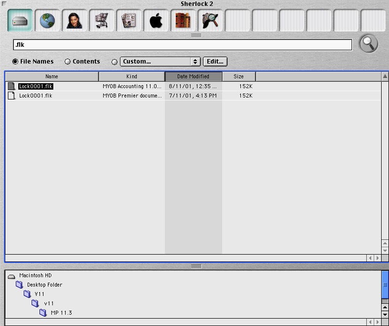 Lock Files – ABSS Support